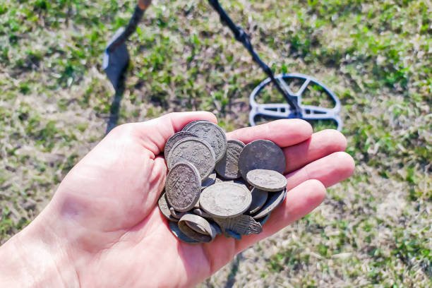 Unveiling Treasures: Unraveling the Magic of Metal Detectors in Family ...